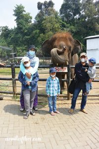 Lembang Park Zoo: Harga Tiket Masuk, Alamat, Review 2026 - Armita Fibri